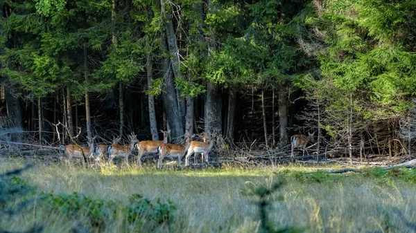 Santuário de apollo Stock Photos, Royalty Free Santuário de apollo ...