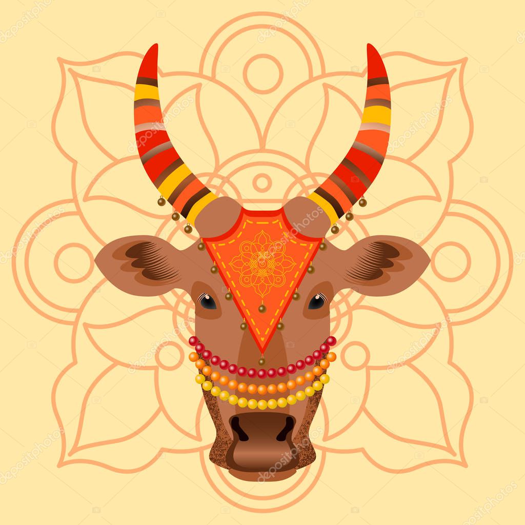 Maatu Pongal. Festival de la cosecha hindú en India y Sri Lanka. El ...