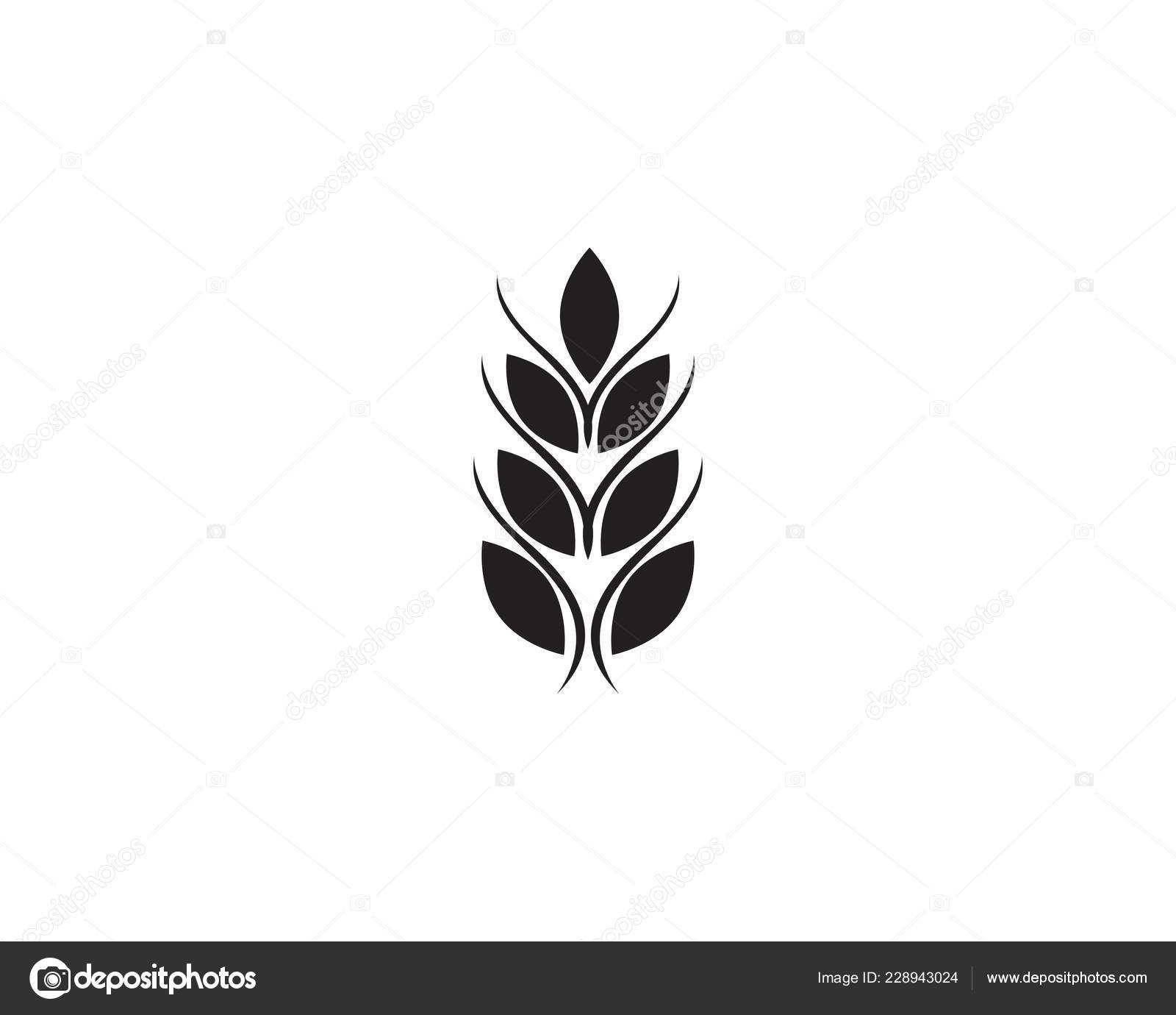 Black Wheat Logo