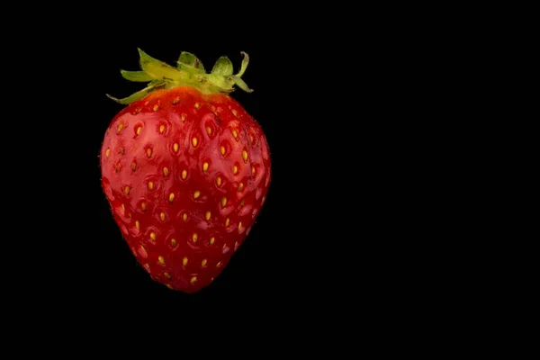 Strawberry black background Stock Photos, Royalty Free Strawberry black ...