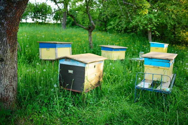 Romania bee hives Stock Photos, Royalty Free Romania bee hives Images ...