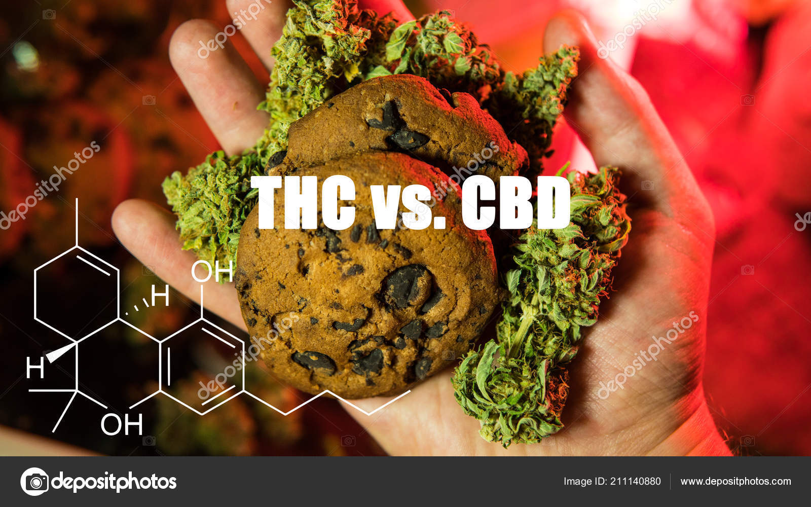 Culinary products from marijuana. Baking cookies from cannabis close-up ...