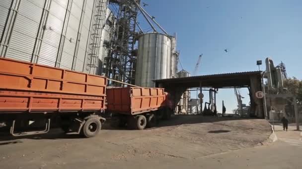 Panorama of grain trucks driving to unload at silo on elevating ...