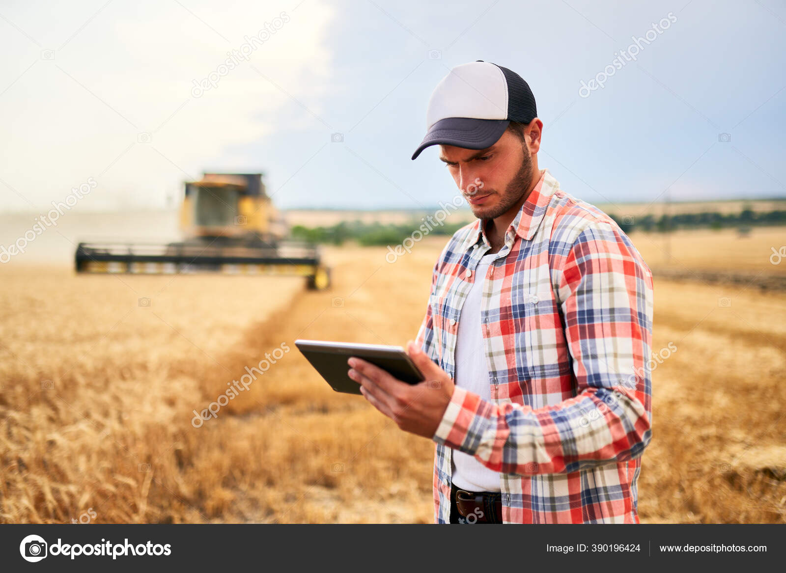 Precision farming. Farmer holding tablet for combine harvester guidance ...