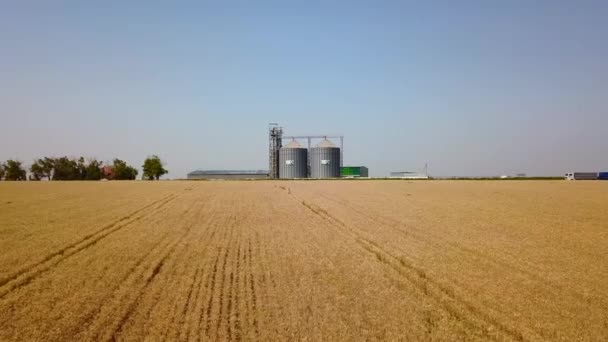 93 Front bin Stock Videos, 4K & HD Footage | Depositphotos