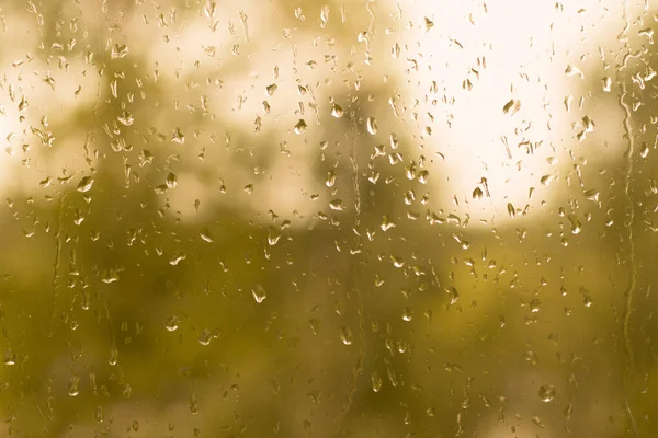 Rain splash Images - Search Images on Everypixel