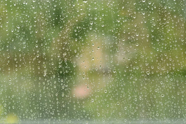 Rain splash Images - Search Images on Everypixel