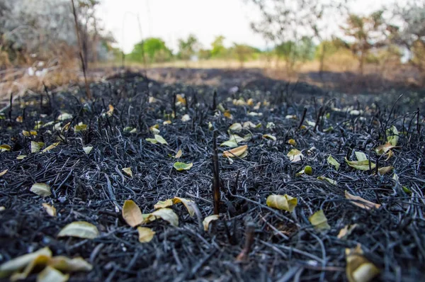 Burnt ground Stock Photos, Royalty Free Burnt ground Images | Depositphotos