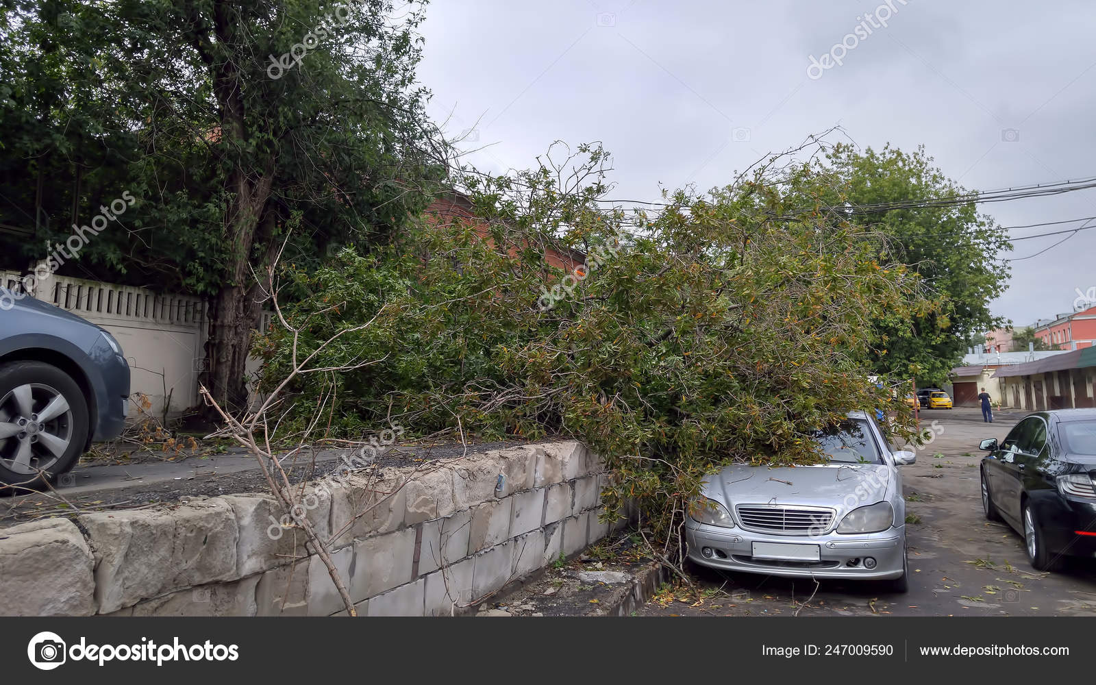 Car Trapped Fallen Tree Wind Storm Hurricane Effects Stock Photo by ...