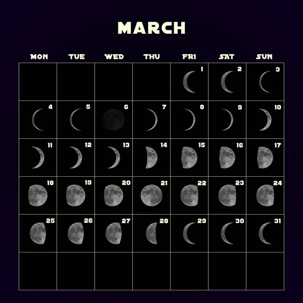 Moon phases calendar for 2019 with realistic moon. November. Vector ...