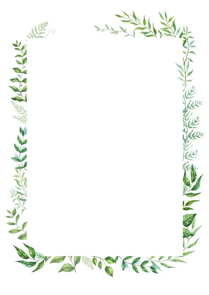 Vector Watercolor Botanical Rectangle Frame Isolated White Background ...