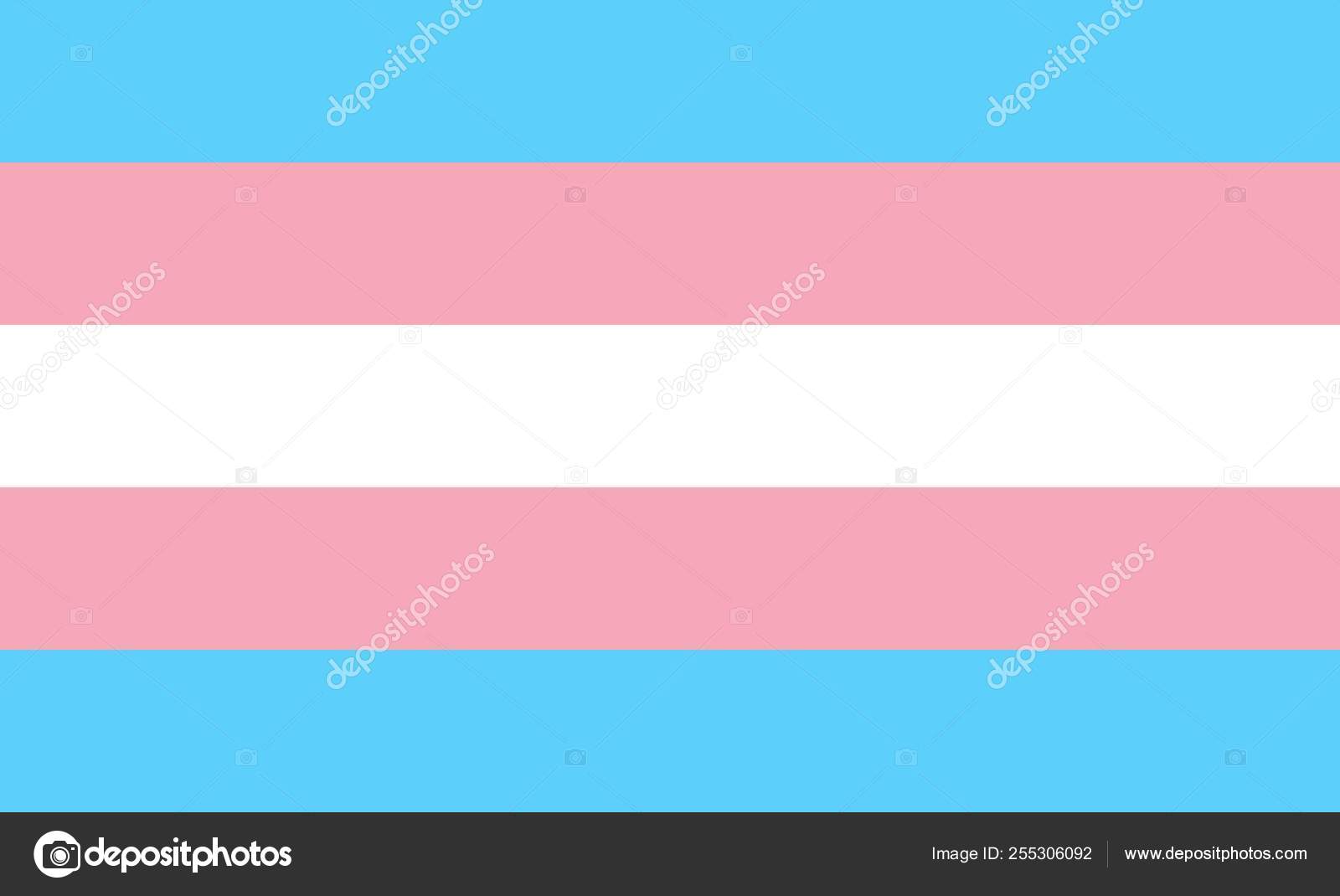 Transgender Pride Flag. Symbol of LGBT community Stock Vector Image by ...