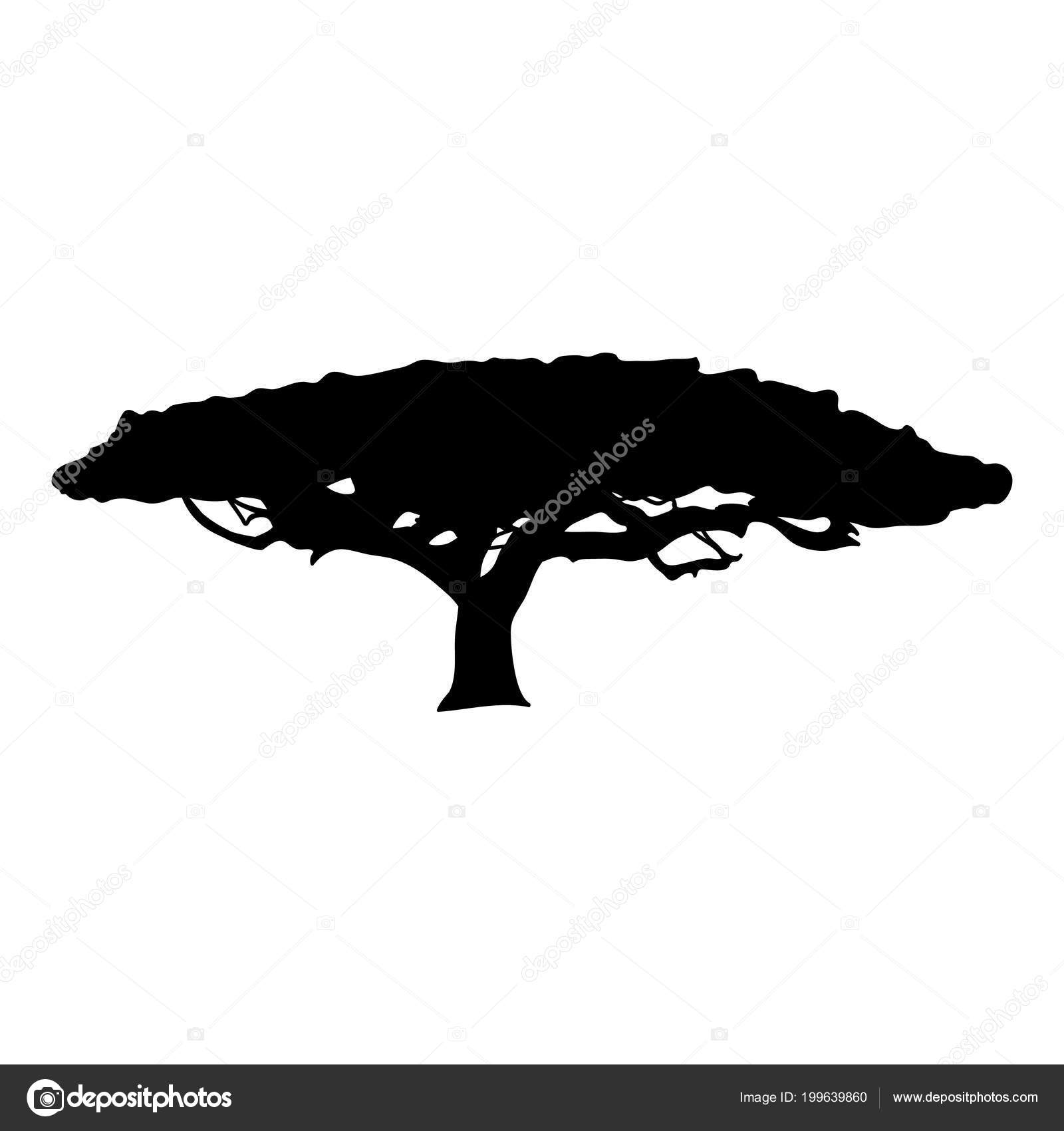 Acacia Tree Silhouette Vector
