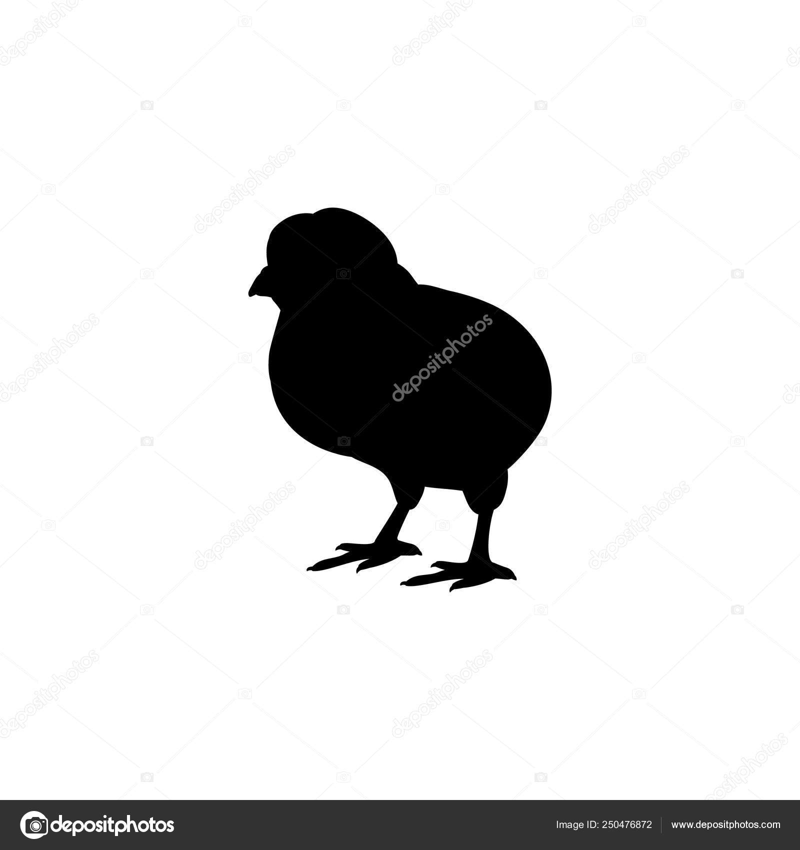 Baby Chicken Silhouette