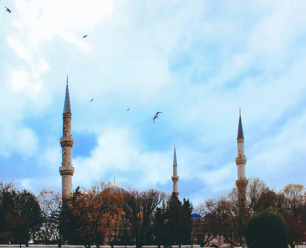 Bluemosque Stock Photos, Royalty Free Bluemosque Images | Depositphotos