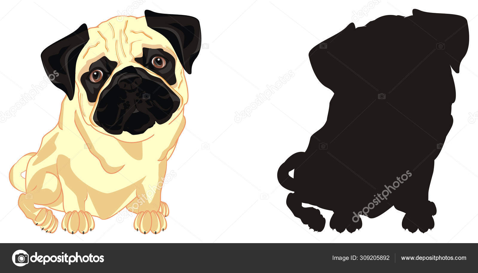 Pug Beige Con Sombra Negra — Foto de stock #309205892 © tatty77tatty