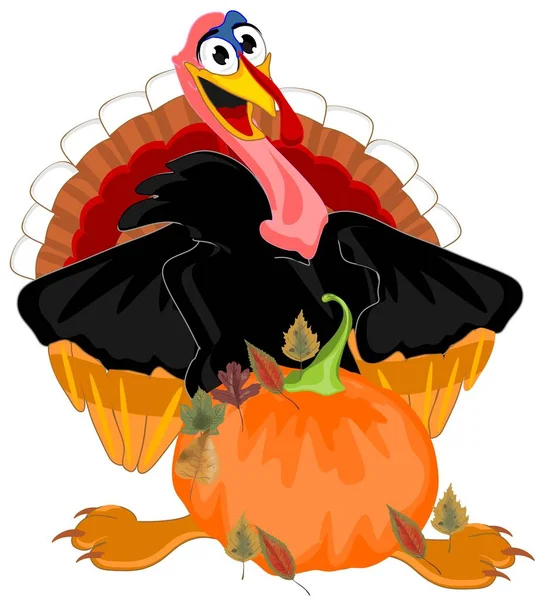 Funny thanksgiving turkey Stock Photos, Royalty Free Funny thanksgiving ...