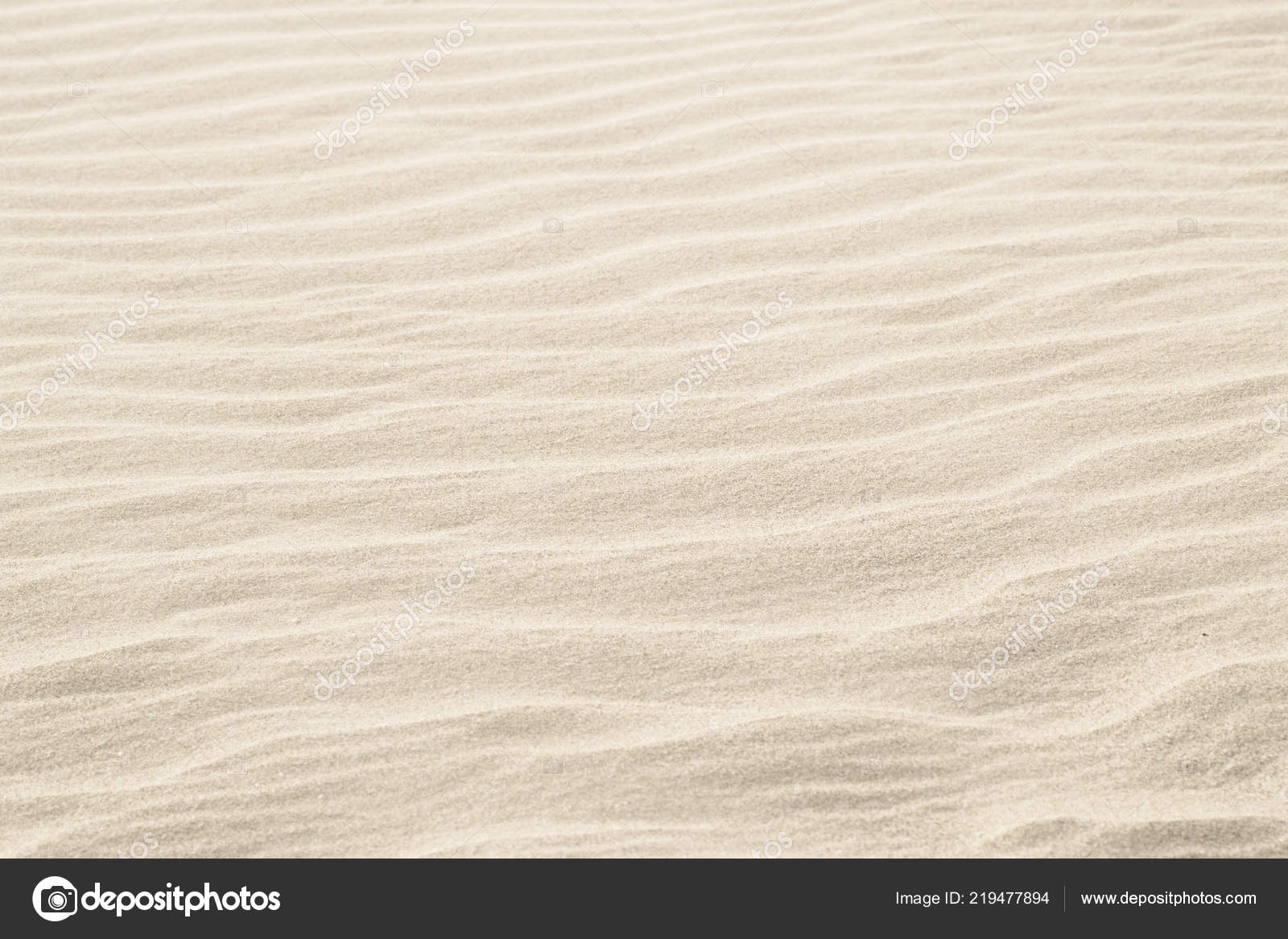 Natural Background Beige Sand Texture Stock Photo by ©amylv 219477894
