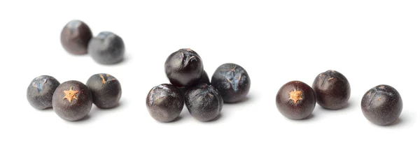 Tonka beans Stock Photos, Royalty Free Tonka beans Images | Depositphotos