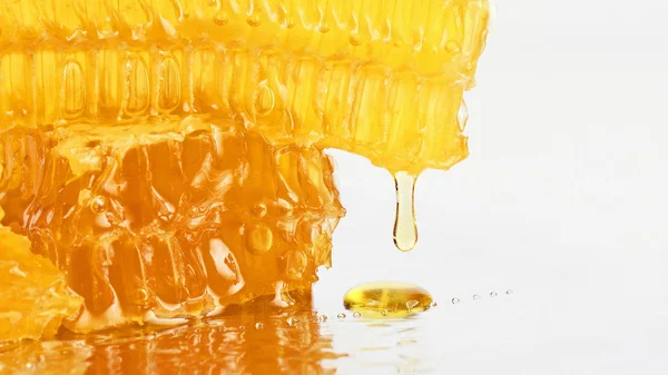 Honey under the microscope Stock Photos, Royalty Free Honey under the ...