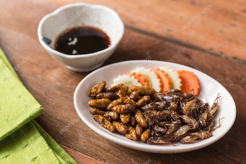 Recolección de alimentos para insectos - Grillo, insectos gusanos con ...