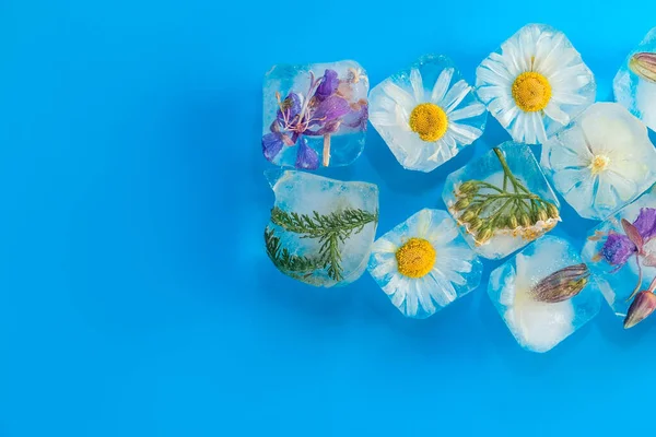 Ice cubes flowers Stock Photos, Royalty Free Ice cubes flowers Images ...