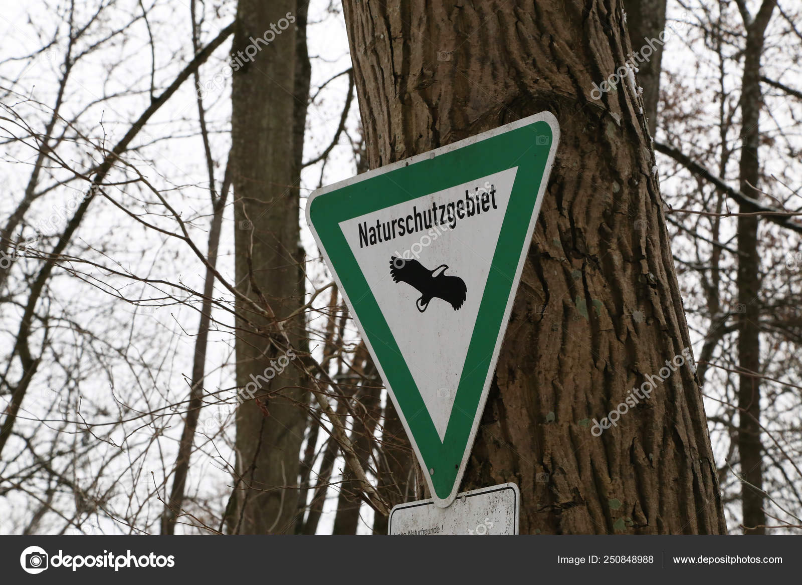 Sign Tree Nature Reserve — Stock Photo © Malleo #250848988
