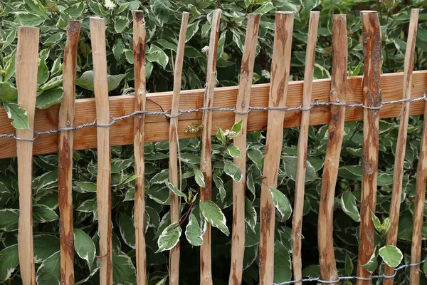 Sustainable fencing Stock Photos, Royalty Free Sustainable fencing ...