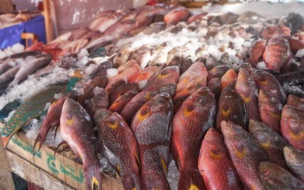 Various fish in the market near the sea, ocean. Old stalls with fresh ...
