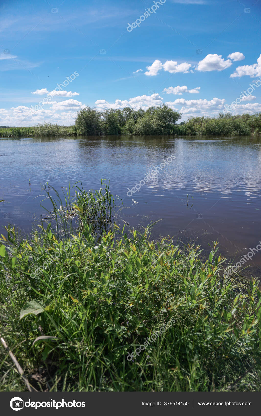 Beautiful Spring Landscapes Of The World