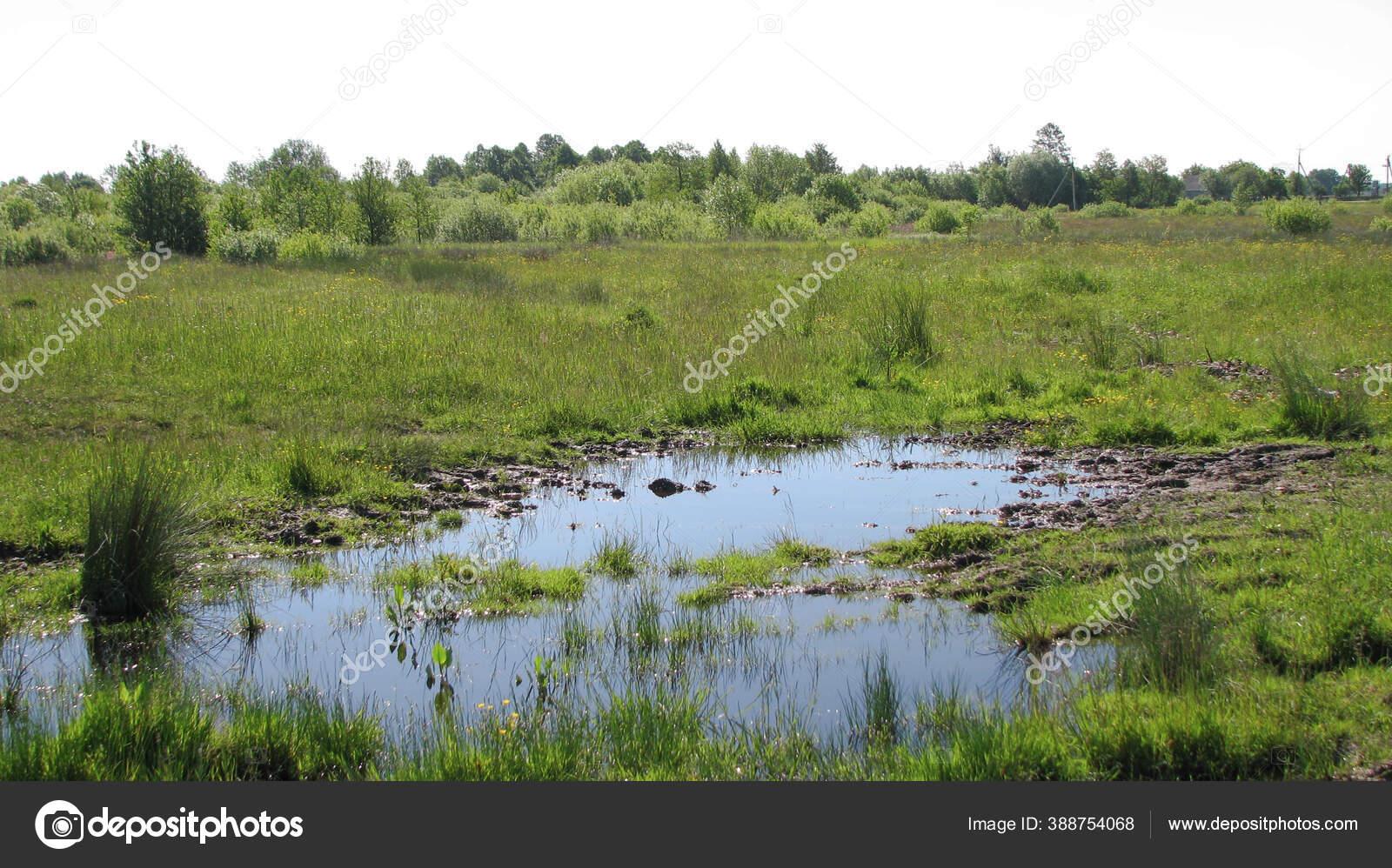 Road Village Impassable Swamp Way City Earth Texture Water Design ...