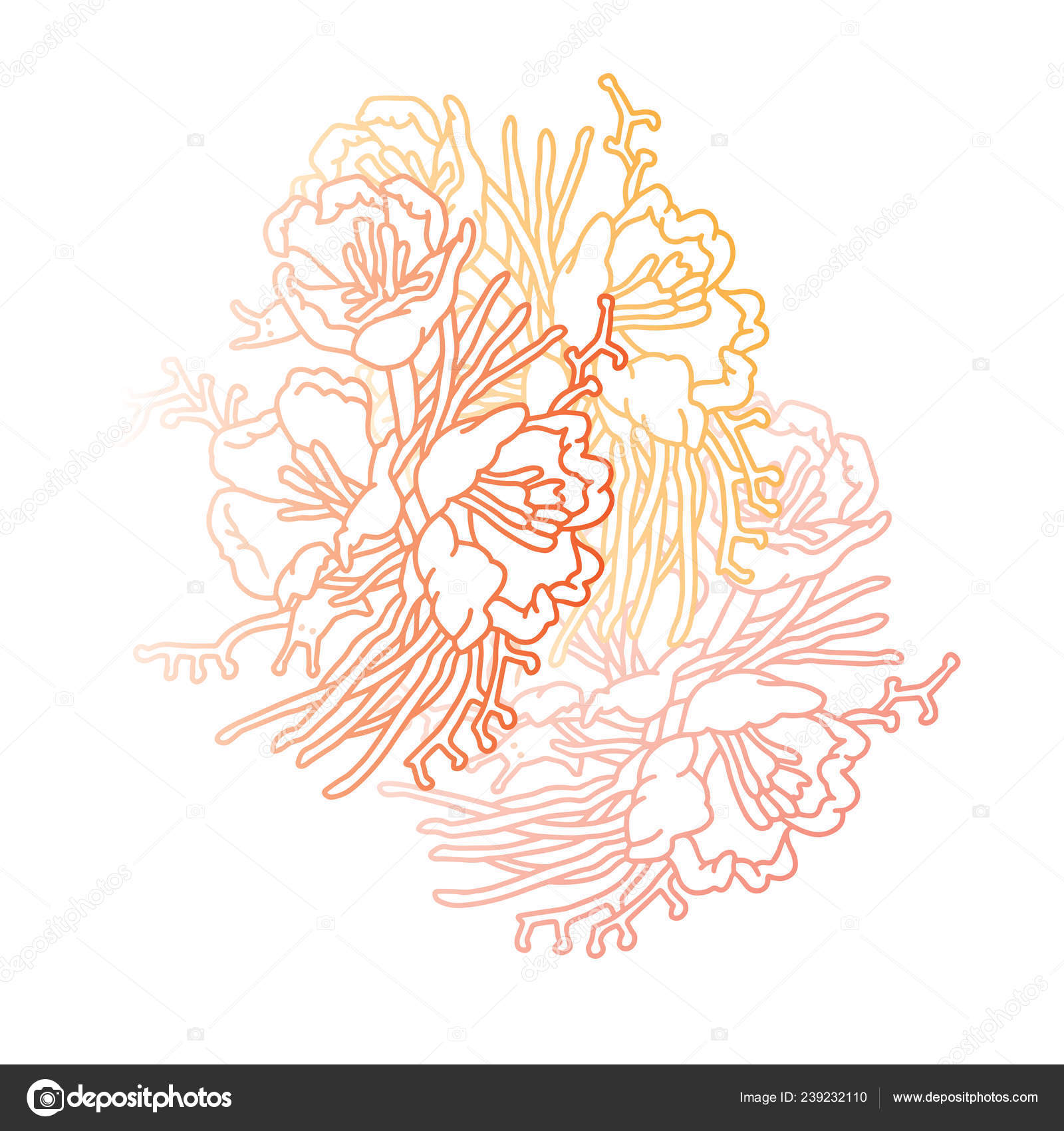Floral illustration. Vecor artwork of flowers. Isolated artwork Stock ...
