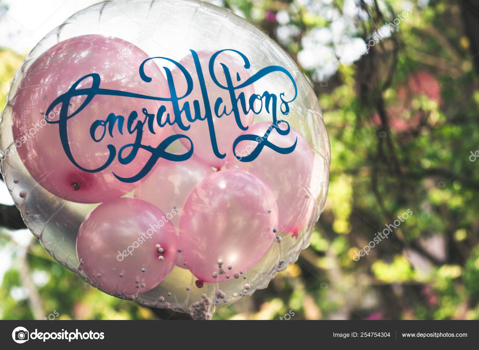 Transparent round balloon inserted with small pink balloons for — Stock ...