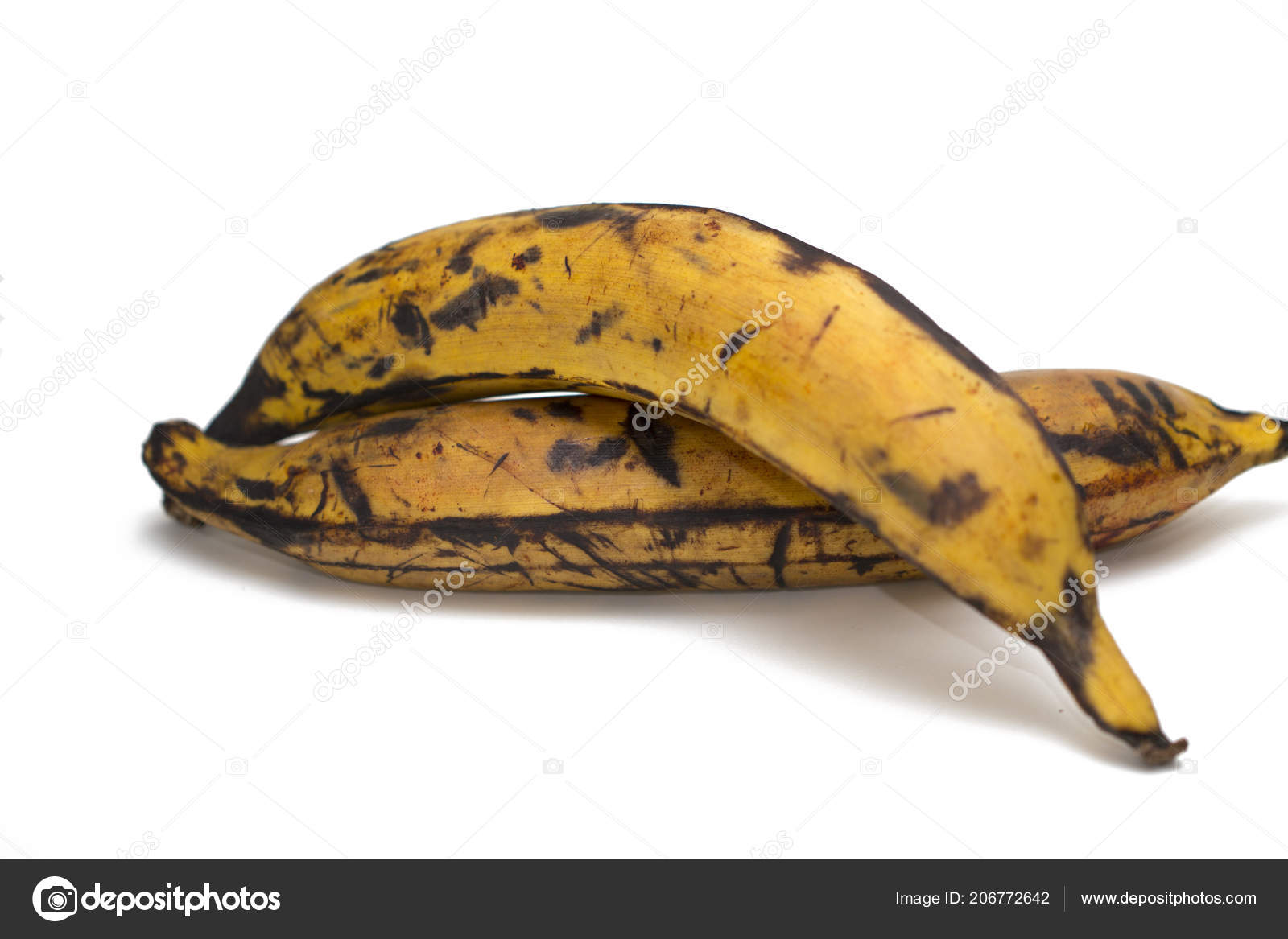 Pair Plantain White Background Stock Photo by ©MagicBones 206772642