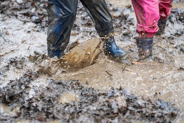 Mud puddle Stock Photos, Royalty Free Mud puddle Images | Depositphotos