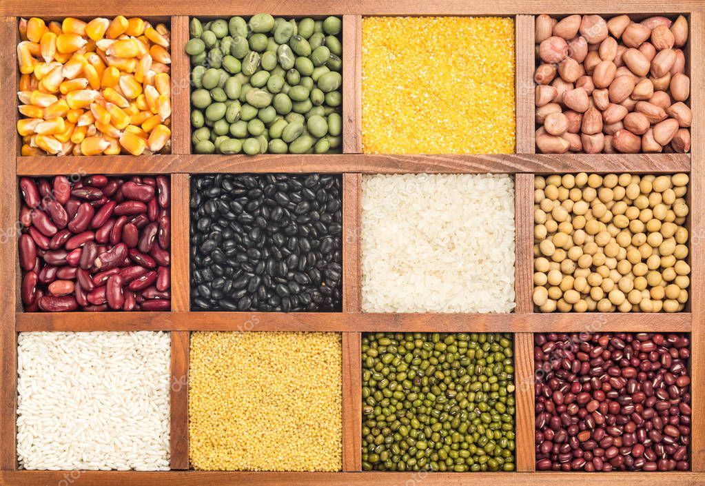 Los granos enteros son ricos en nutrientes 2023