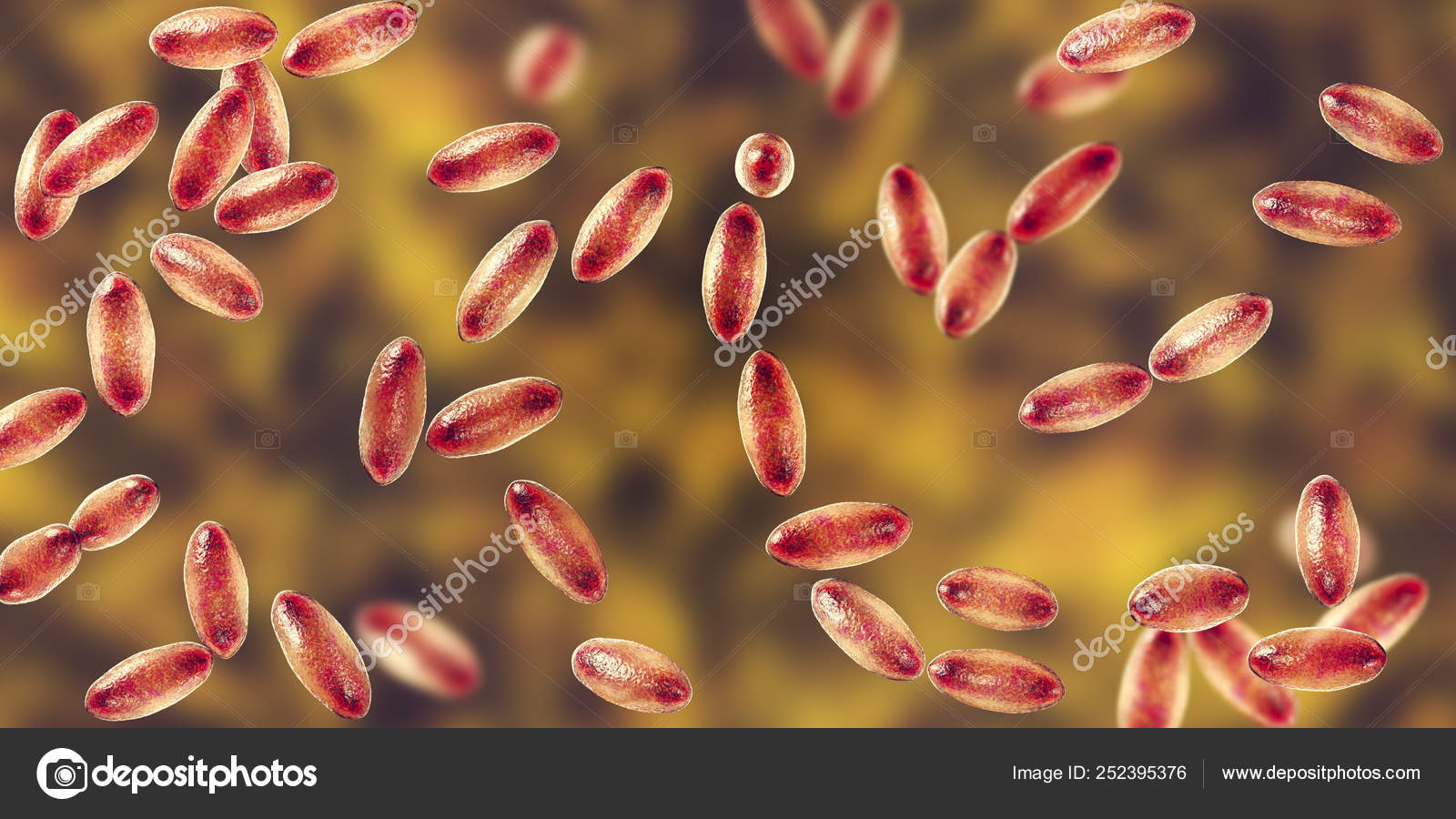 Peste bactérienne Yersinia pestis — Photo de stock par ©katerynakon ...