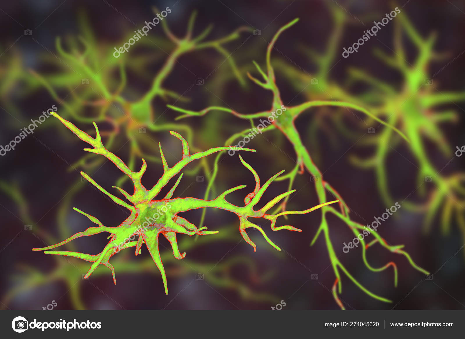 Astrocytes, brain glial cells — Stock Photo © katerynakon #274045620