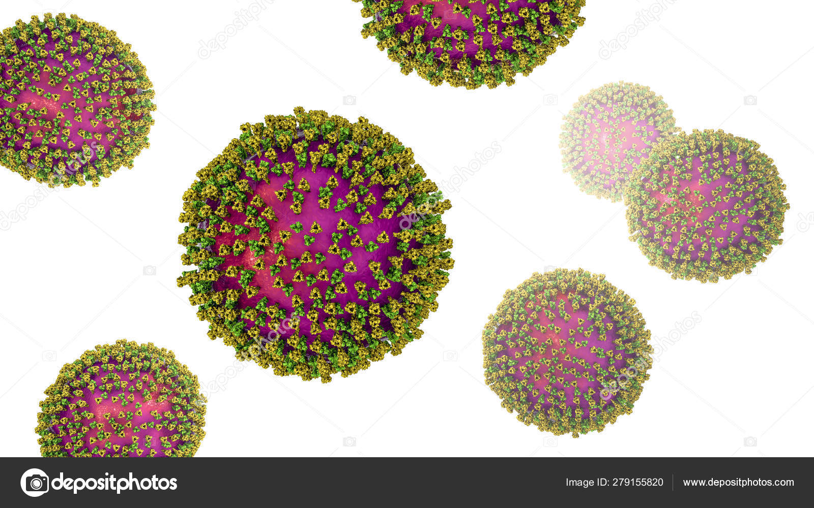 Measles Virus 3d Model