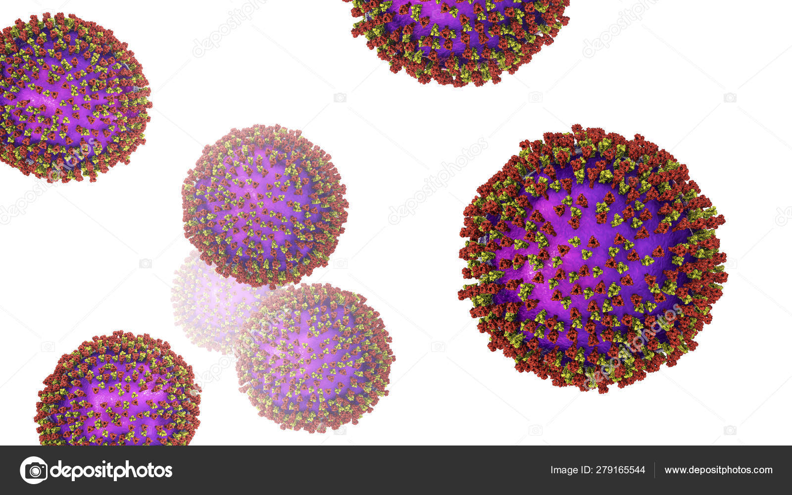 Measles Virus Structure