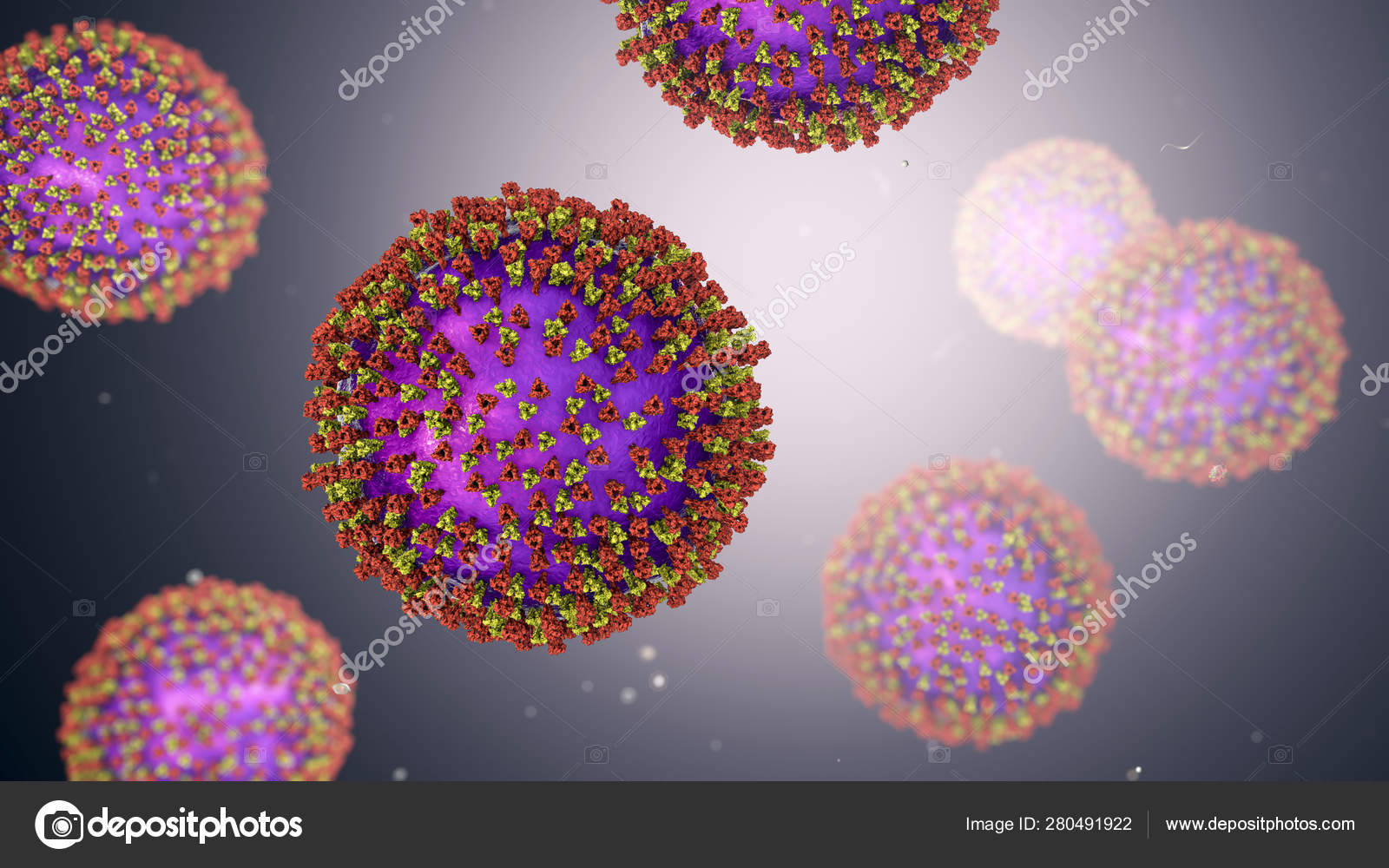 Measles Virus Model