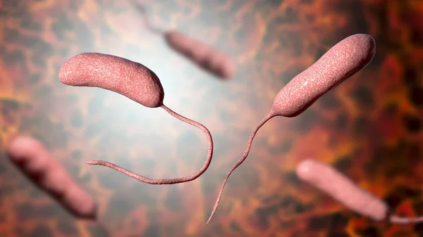 Vibrio Stock Photos, Royalty Free Vibrio Images | Depositphotos®