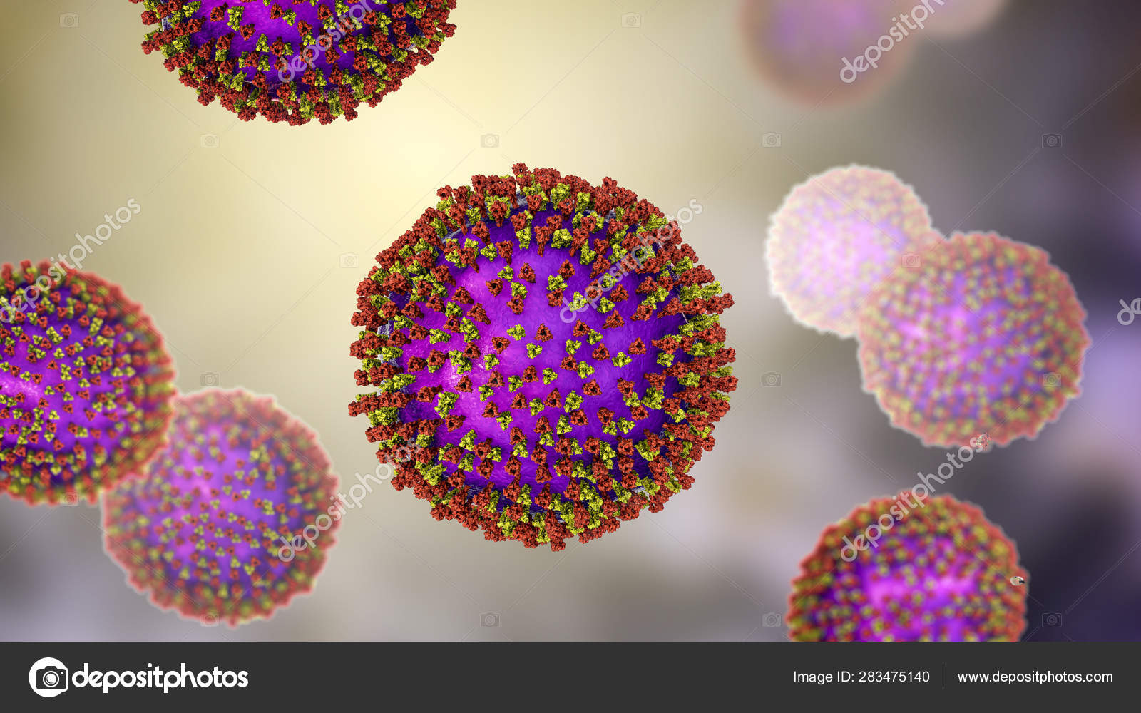 Measles Virus Model