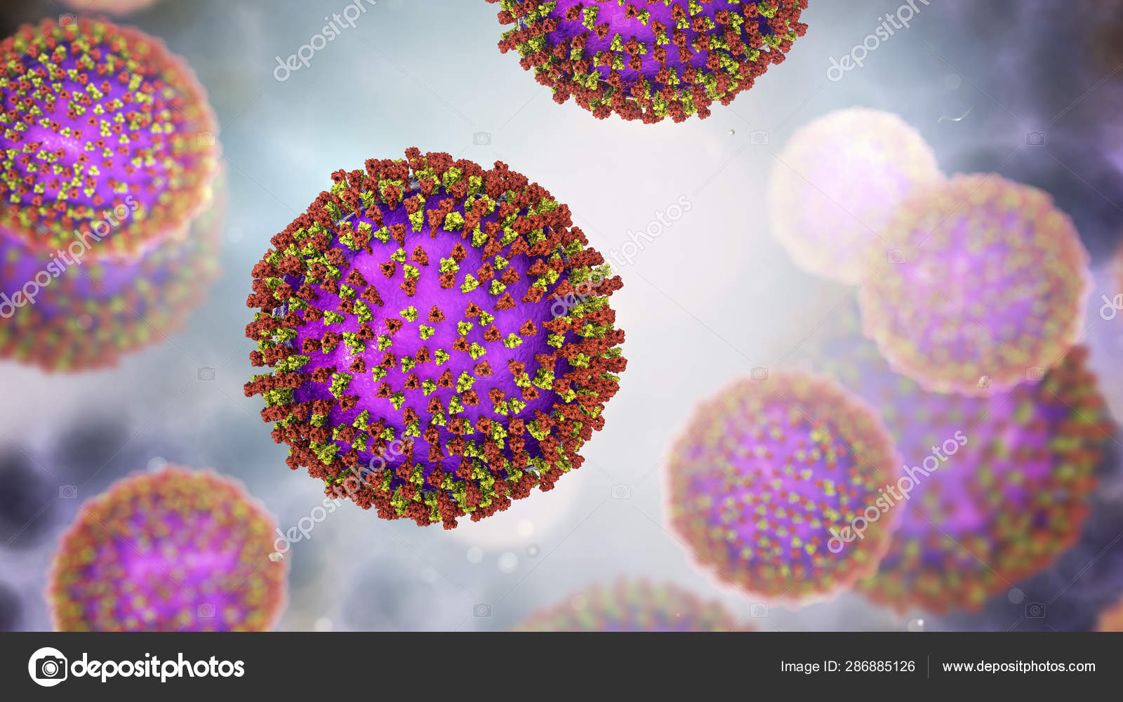 Measles viruses, illustration showing structure of measles virus with ...