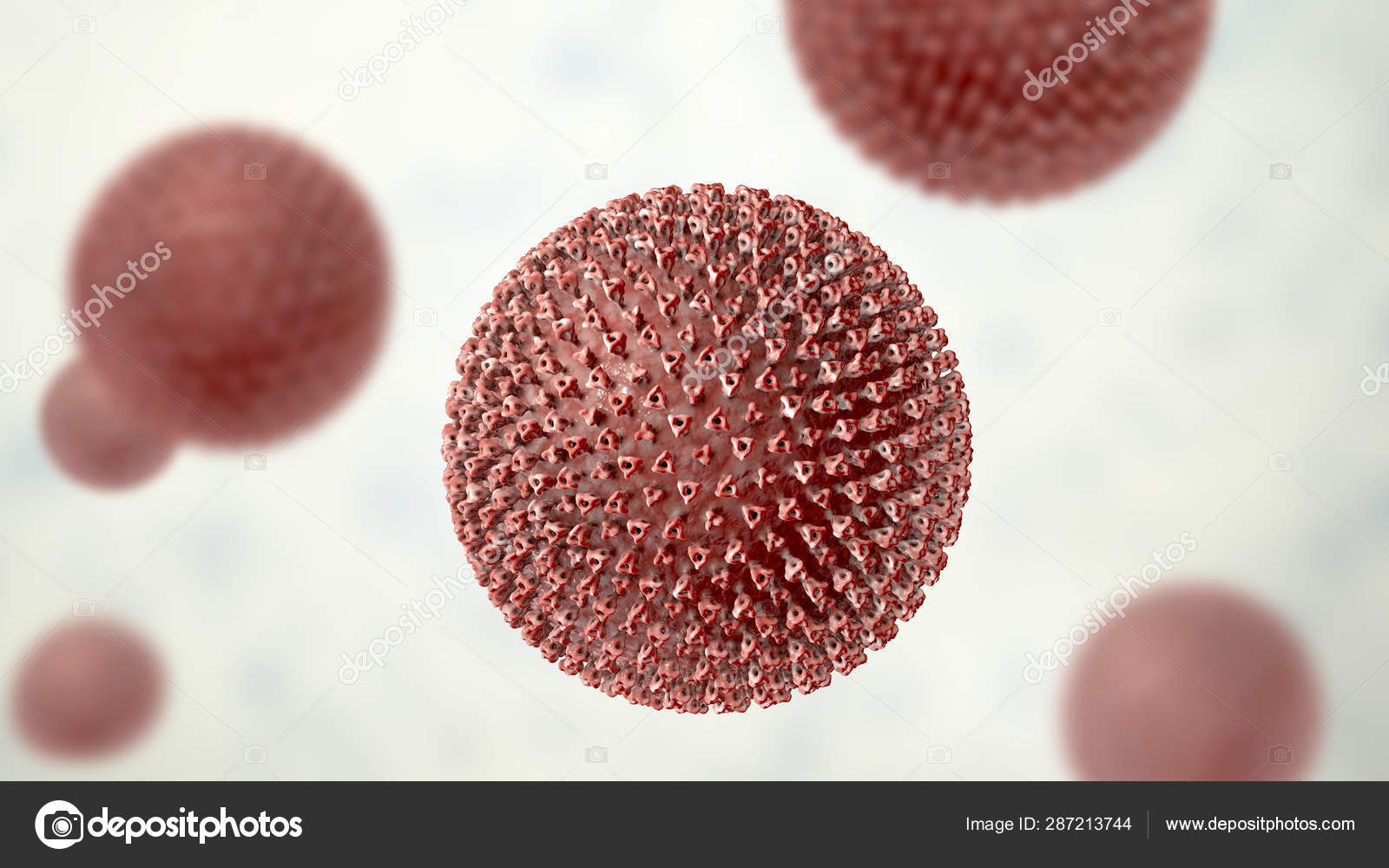 Measles viruses, illustration showing structure of measles virus with ...
