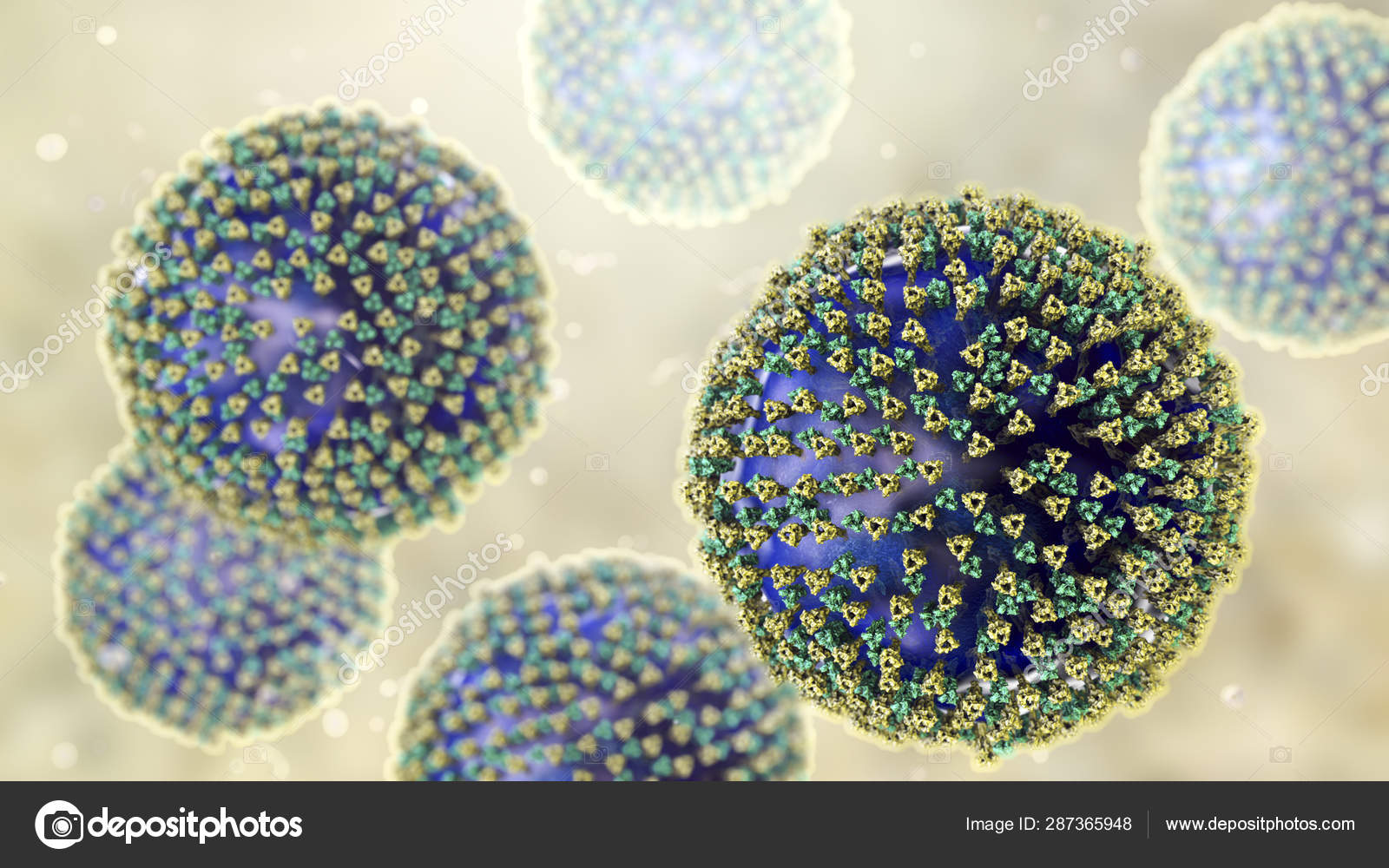 Measles viruses, illustration showing structure of measles virus with ...