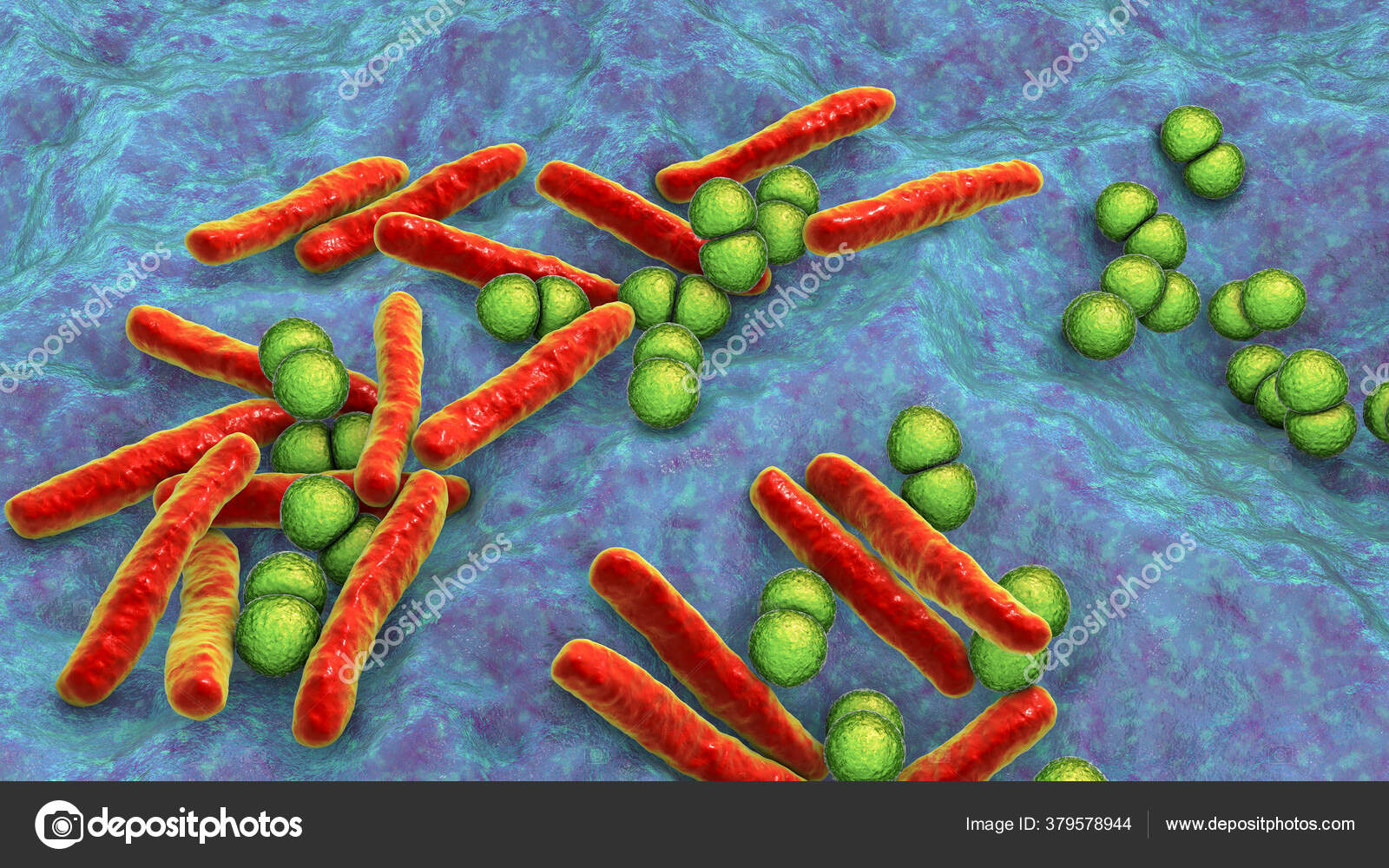 Respiratory Pathogens Bacteria Mycobacterium Tuberculosis Streptococcus ...