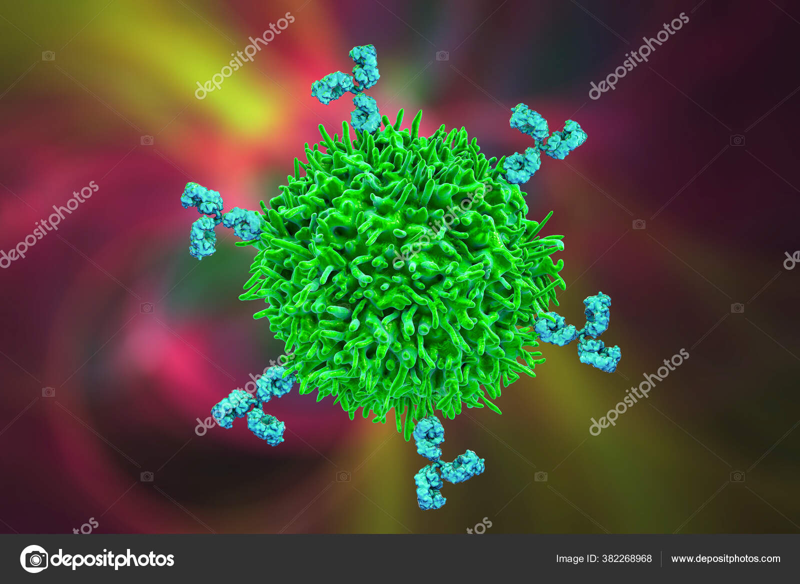 Cell Antibodies Illustration Principles Immunity Stock Photo by ...