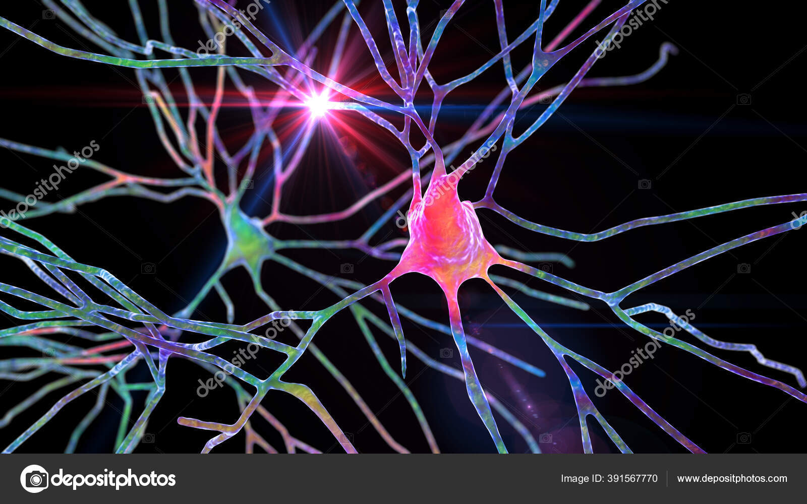 Pyramidal Neurons Human Brain Cortex Illustration Stock Photo by ...