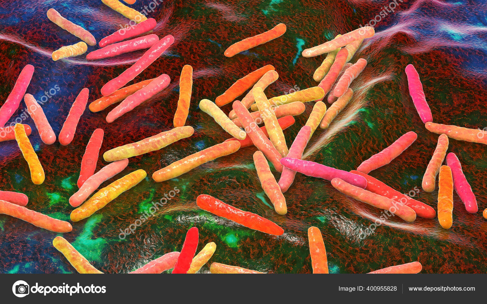 Bakterie Mykobakteriová Tuberkulóza Původce Tuberkulózy Animace — Stock ...